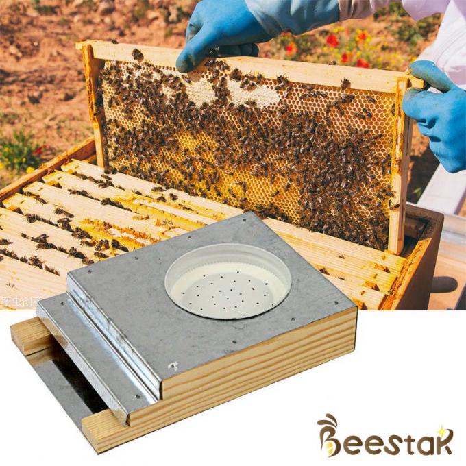 Beekeeping Equipment Apiculture Tool American Style Wooden Bee Feeder
