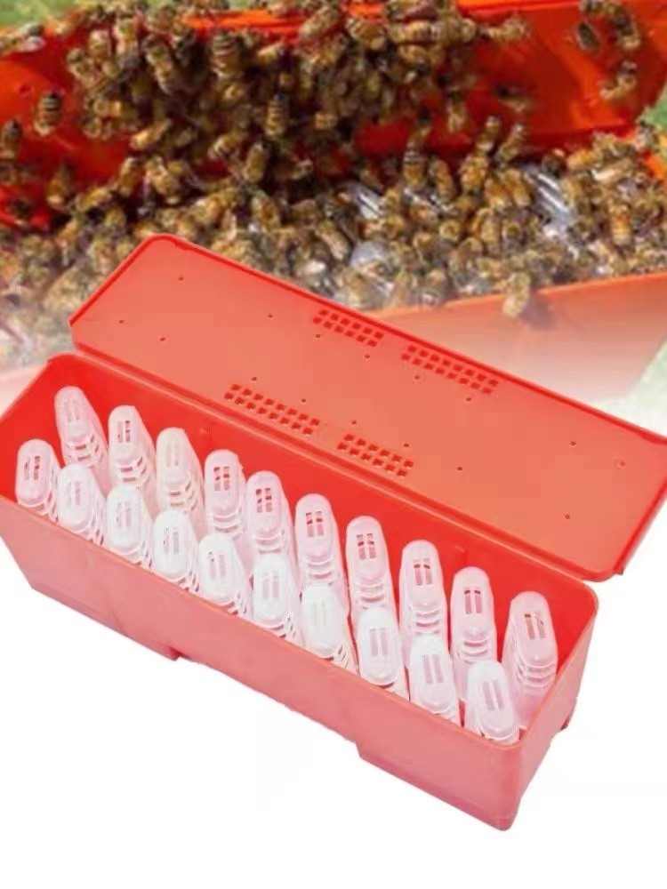 Red Plastic Queen Bee Cage For Queen Bee Rearing System Beekeeping ...