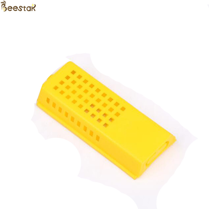 Beekeeping Queen Rearing Bamboo And Plastic Queen Bee Rearing Cage