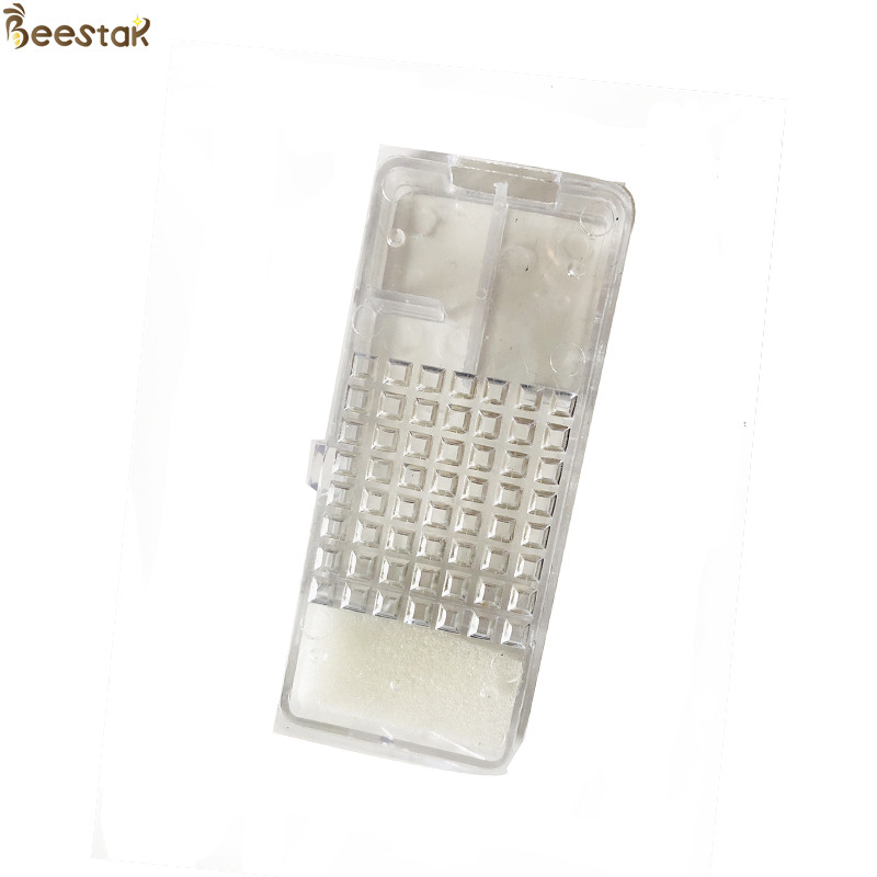 Transparent Clear Queen Bee Cage With Foam Queen Introduction Cage for ...