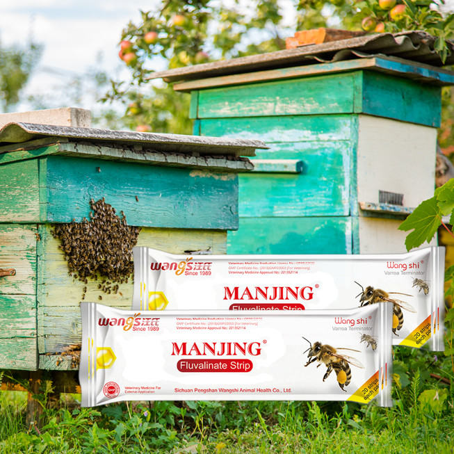 Wangshi Bee Medicine Manjing flumethrin Strip Varroa Mite Treatment for ...